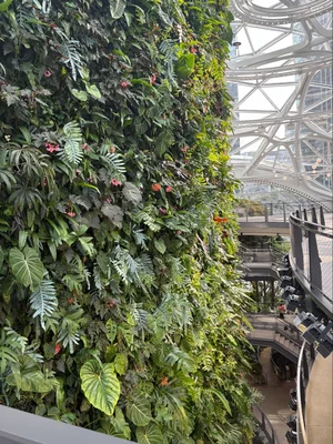 The Amazing Amazon Spheres Project in Seattle | Jennifer Bousselot