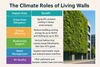 Green Walls: Green Infrastructure That Fights Climate Change | Lily Turner