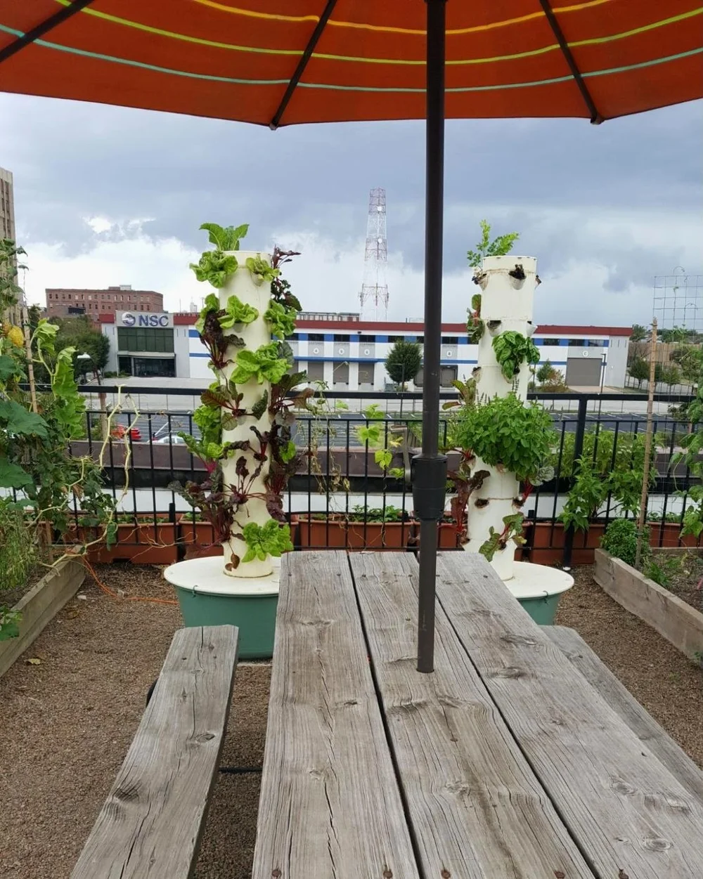 Eight Reasons to Include Food Production In Your Next Building Project ...