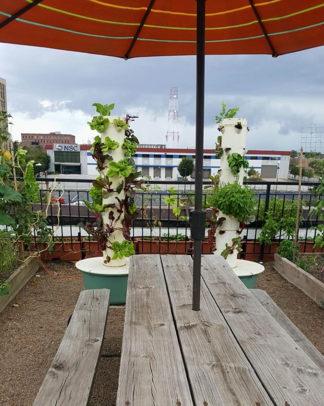 Eight Reasons to Include Food Production In Your Next Building Project ...