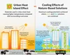 Green Walls: Green Infrastructure That Fights Climate Change | Lily Turner