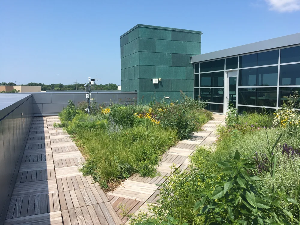 How the Living Architecture Performance Tool Can Make Green Roofs and ...