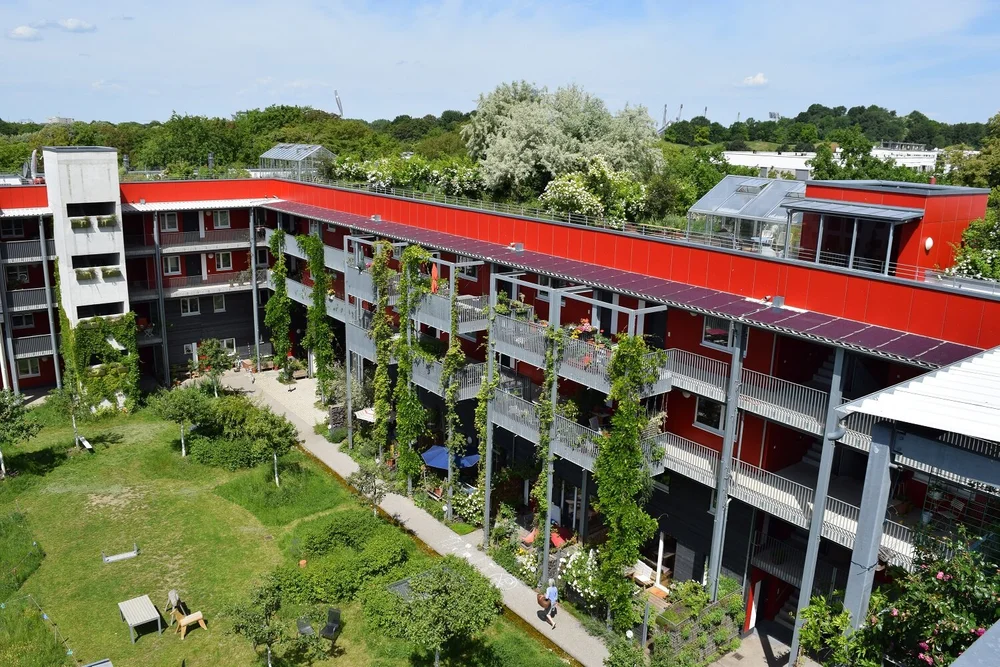 Insight Into Germany’s Green Roof and Wall Market, Trends, and Policy