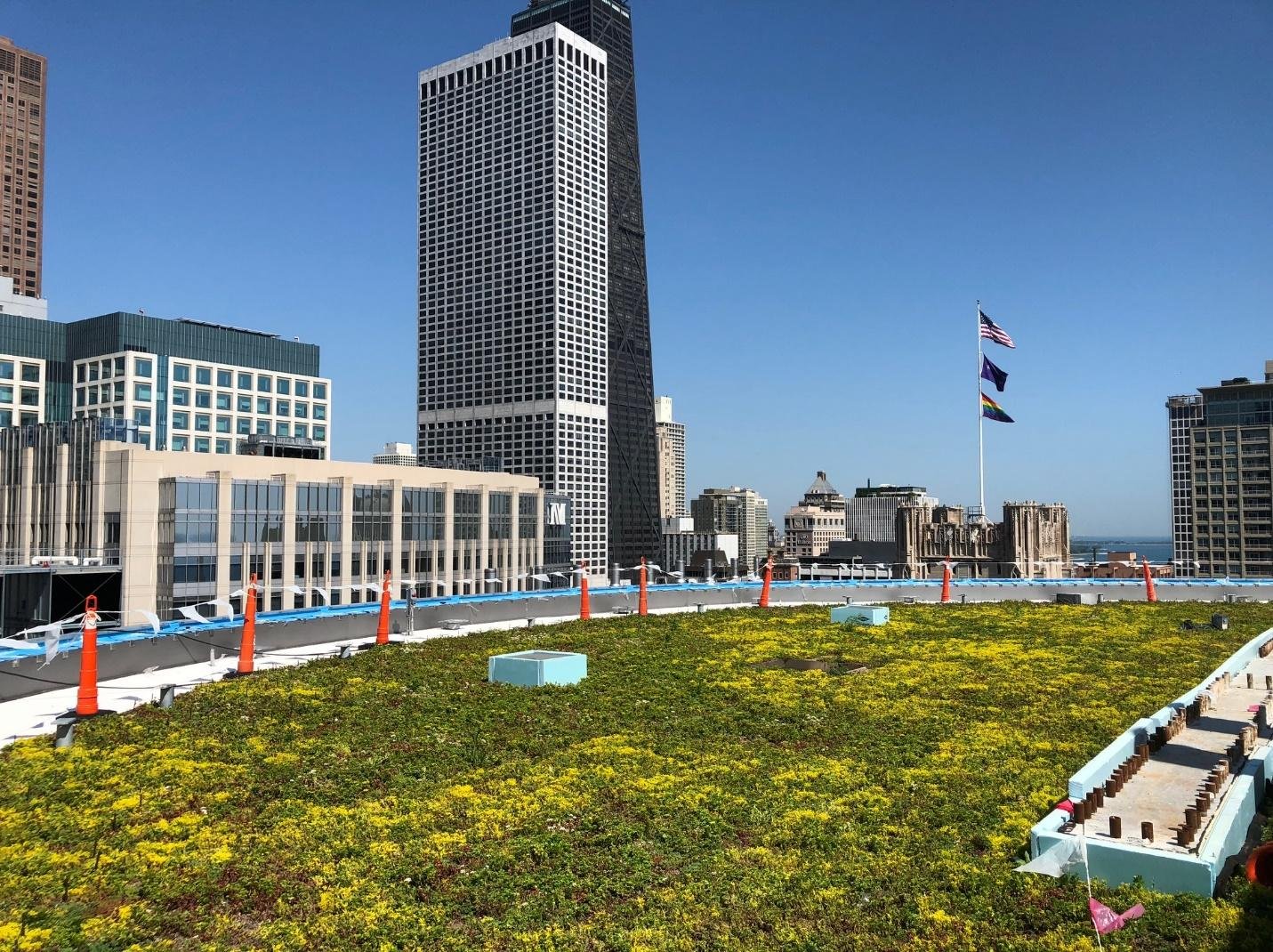 Unlocking Stormwater Solutions: A Northwestern University Case Study on ...