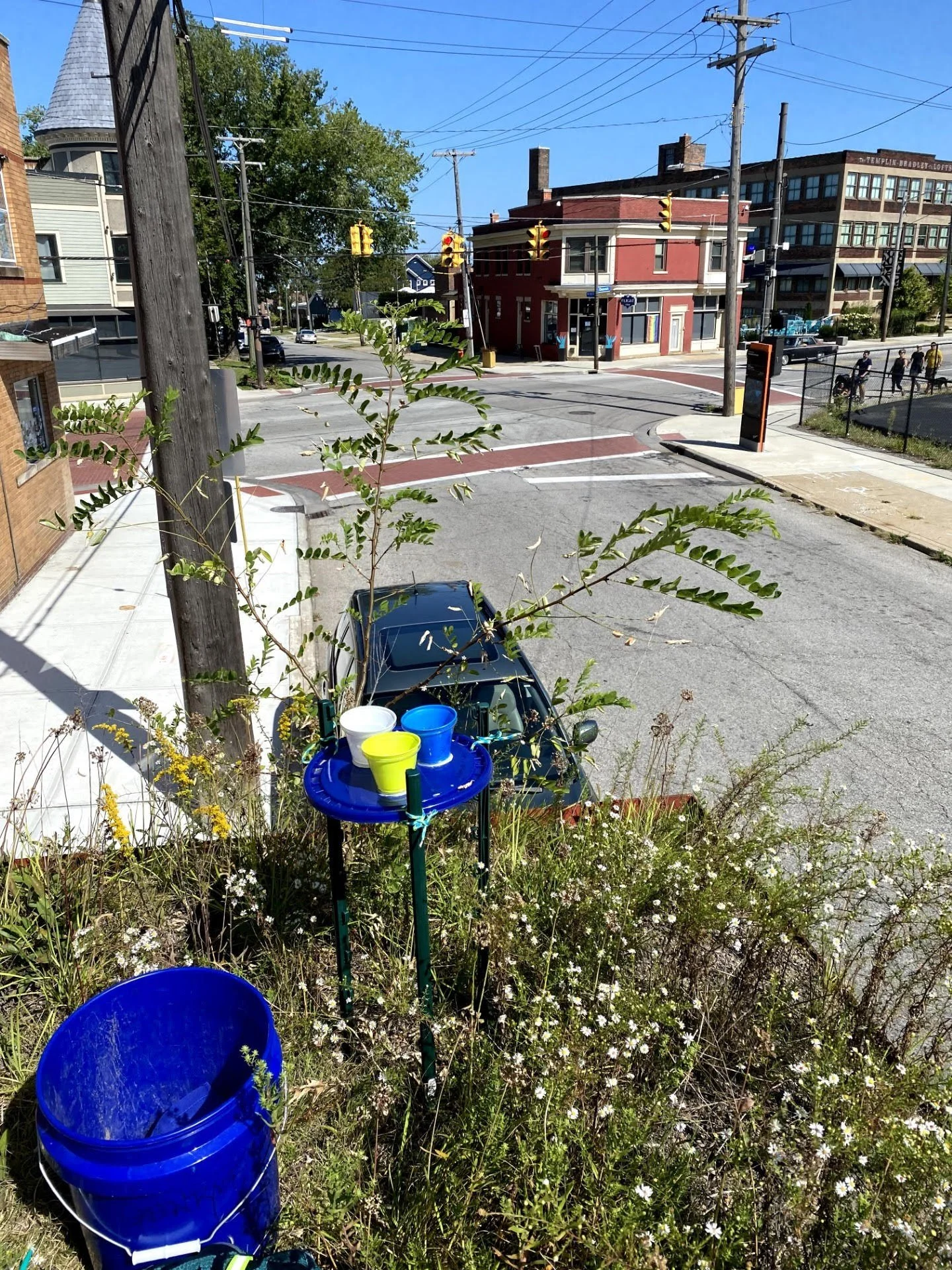 Katherine Manning | Green Roof Professional (GRP)