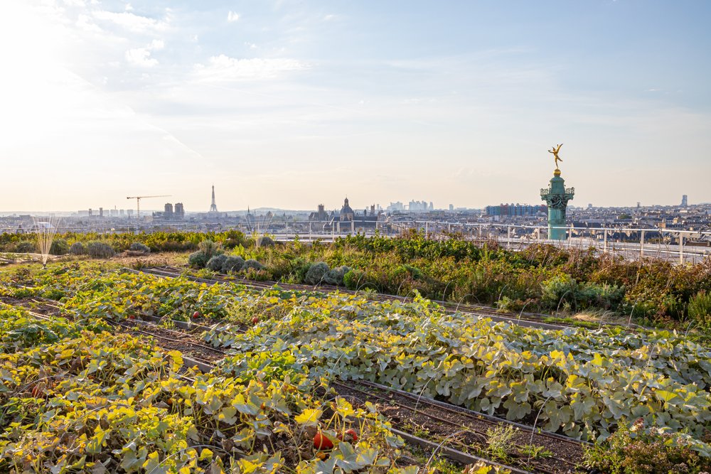 Cultivating Change: The Role of Urban Agriculture in European Policy ...