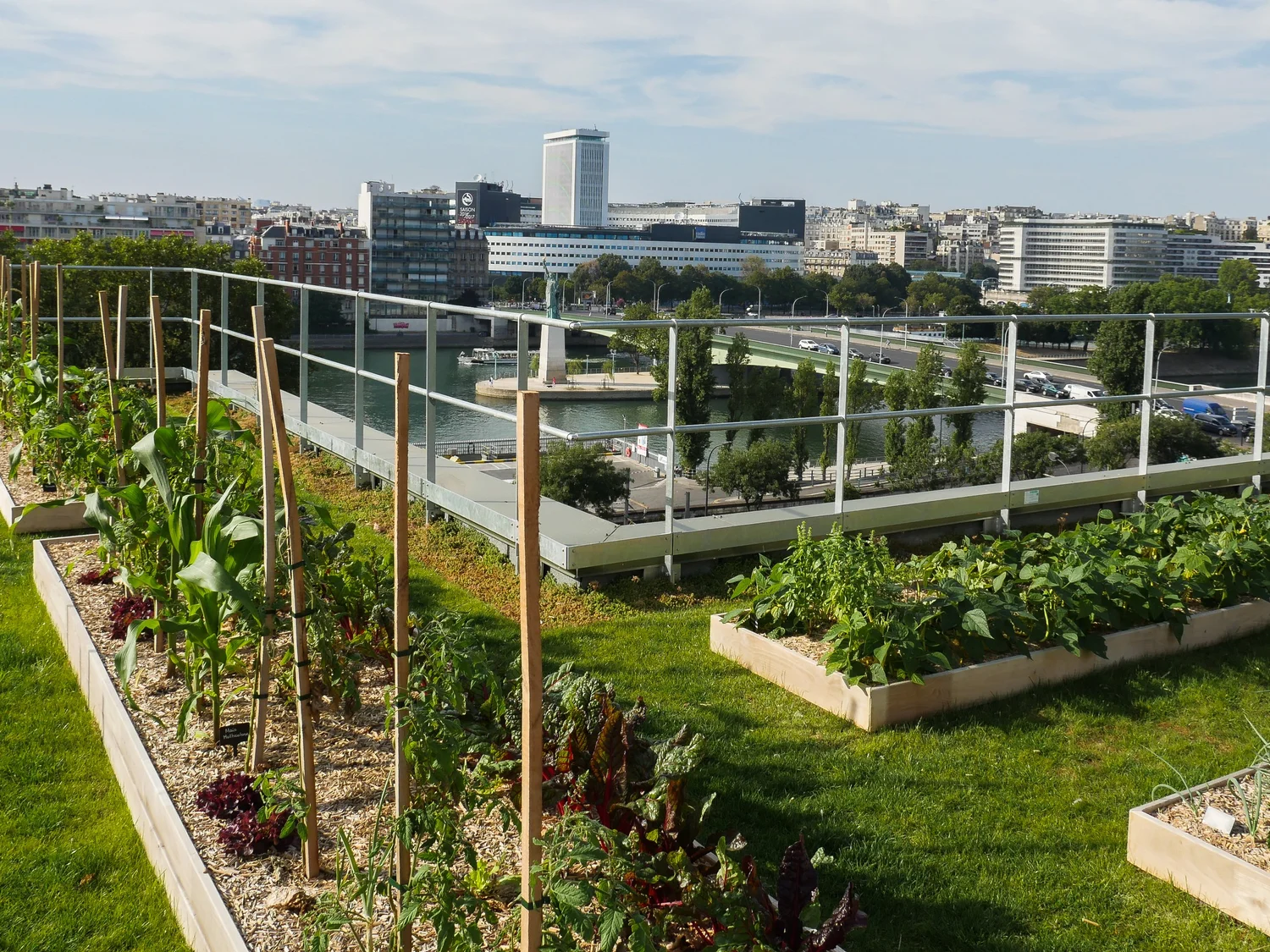 Cultivating Change: The Role of Urban Agriculture in European Policy ...