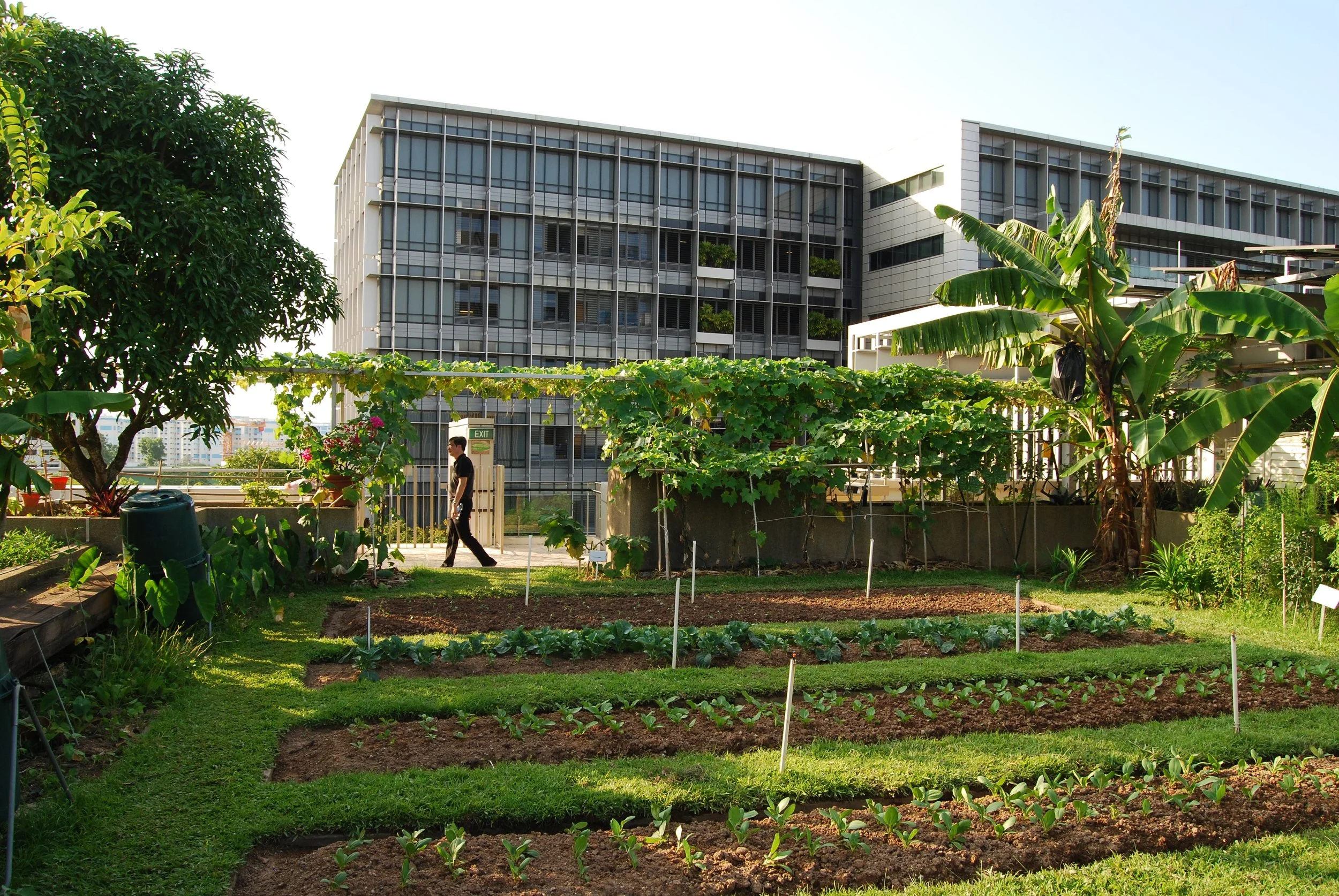 The Evolution of Biophilic Design: The 10 Year Anniversary of the 14 ...