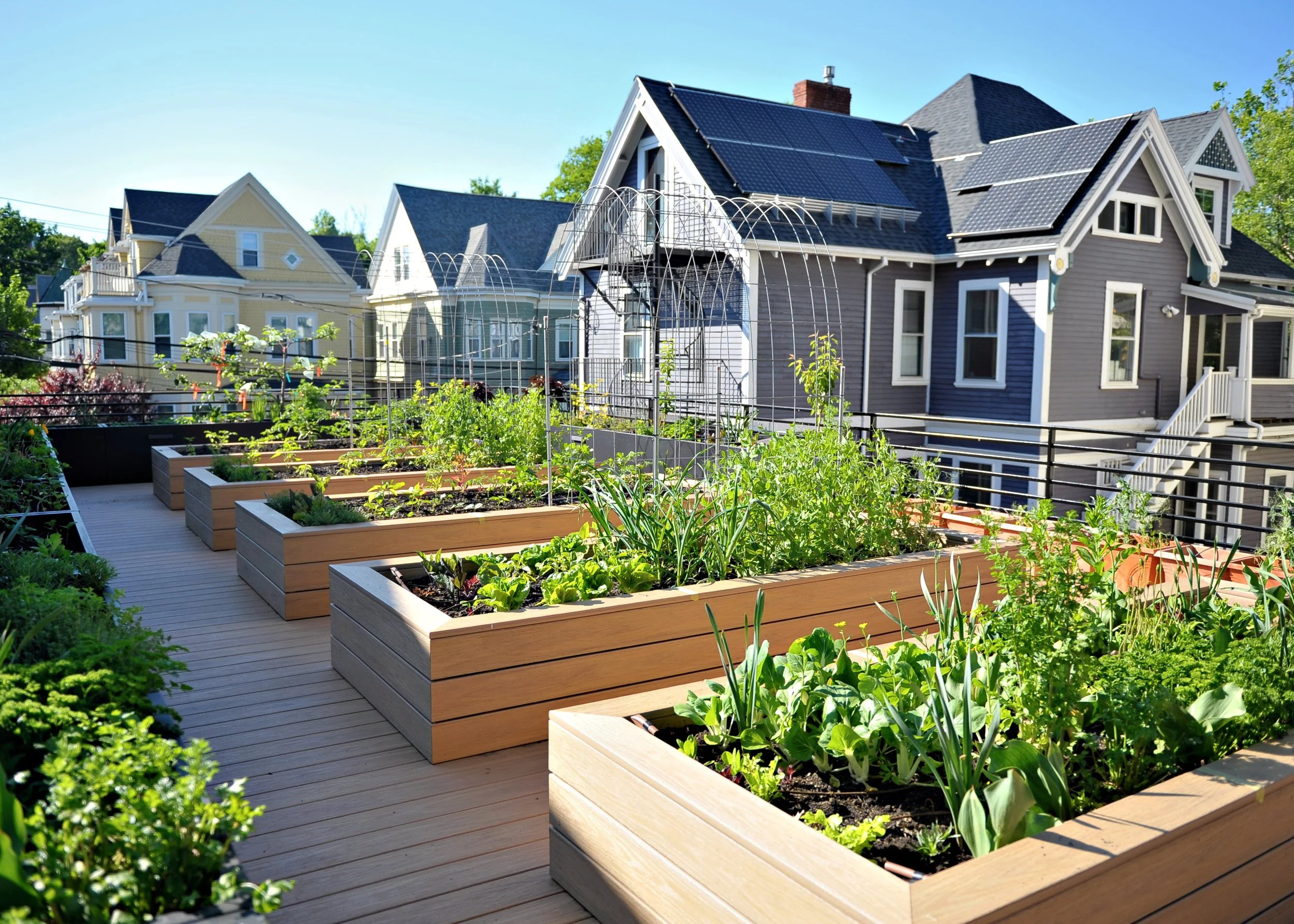 Will’s Garden: A Place for Healing at Carle Foundation Hospital