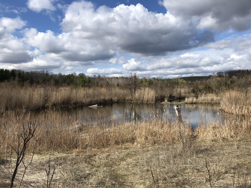 How the Movement Towards Sponge Cities Can Help Soak up Extreme ...