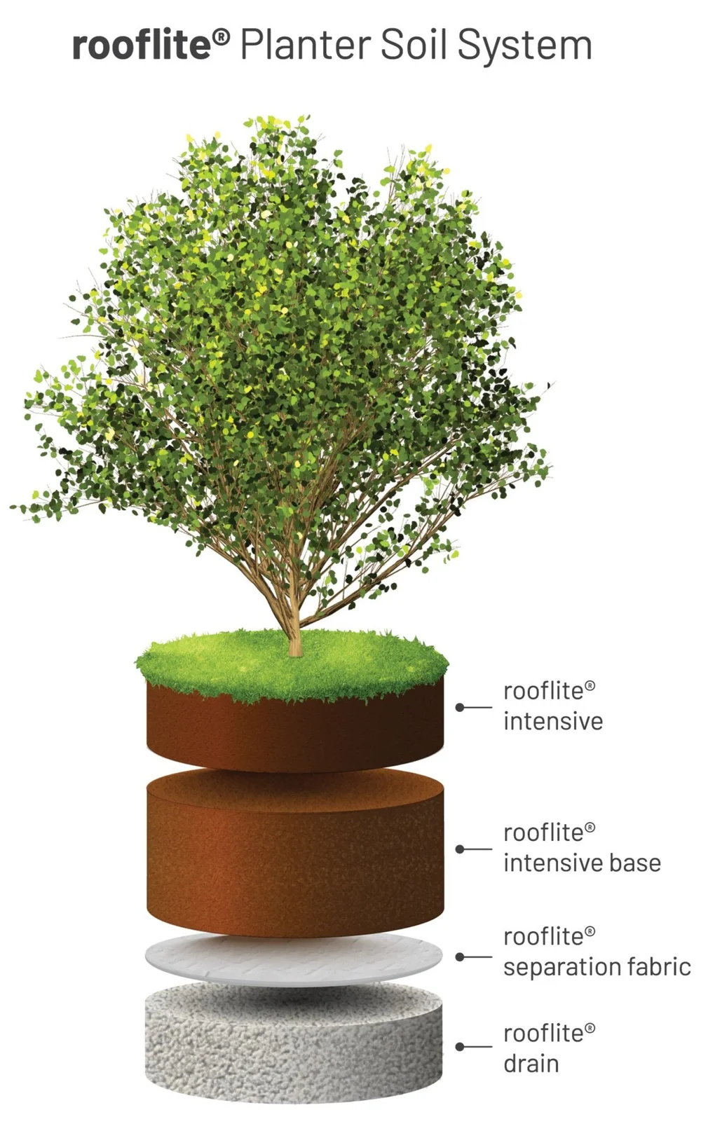 The Development of Skyland USA and Its Green Roofs Legacy | Joe DiNorscia