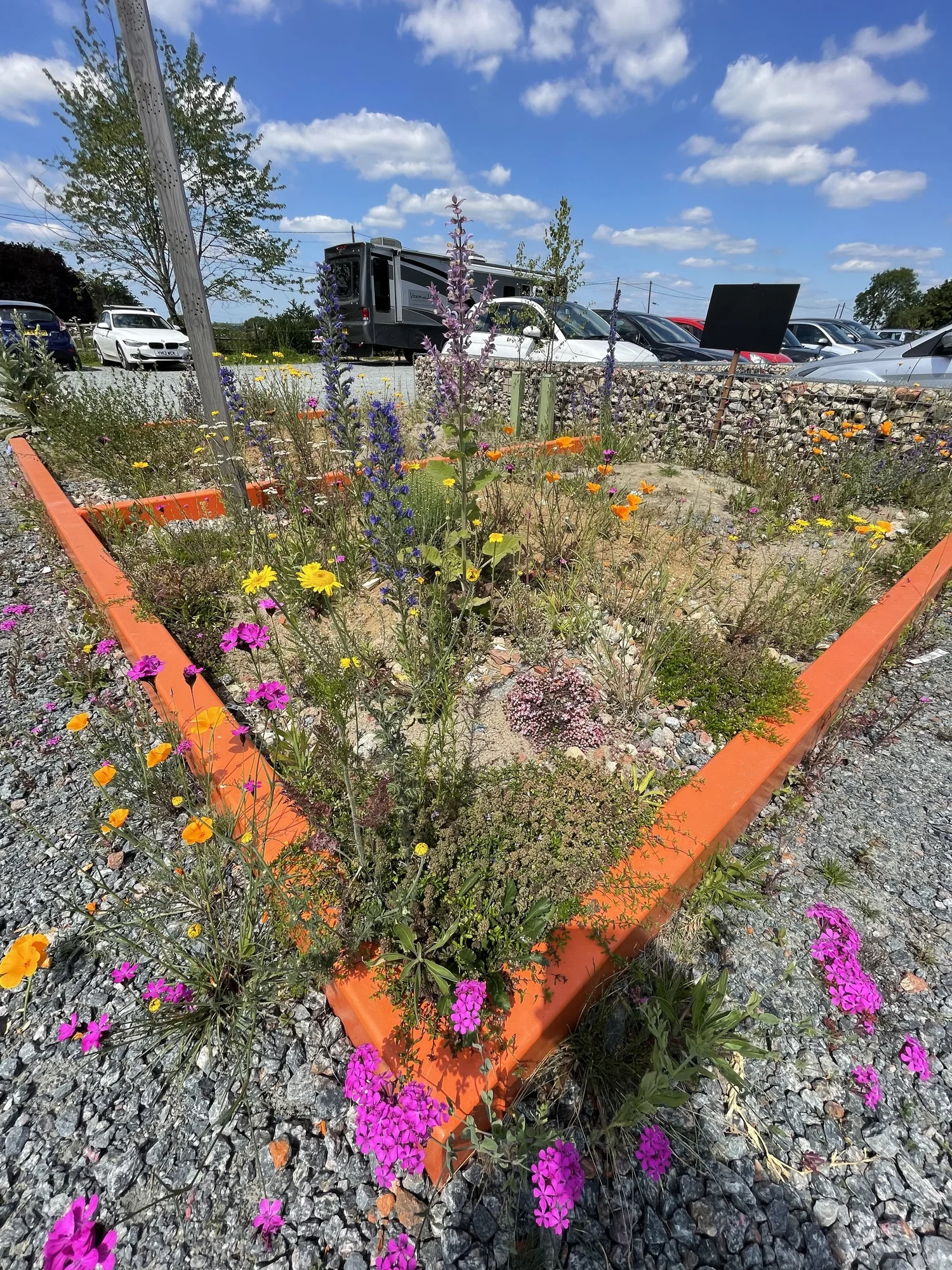 Chaos and Complexity – Pushing the Boundaries of Gabion Baskets