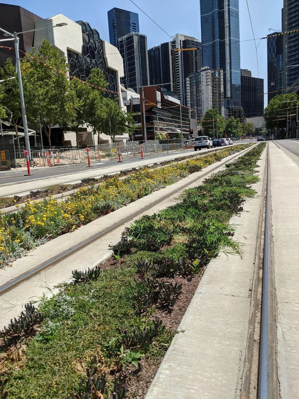 How Mycorrhizae Can Benefit the Performance of Green Roof Plants | Amy ...