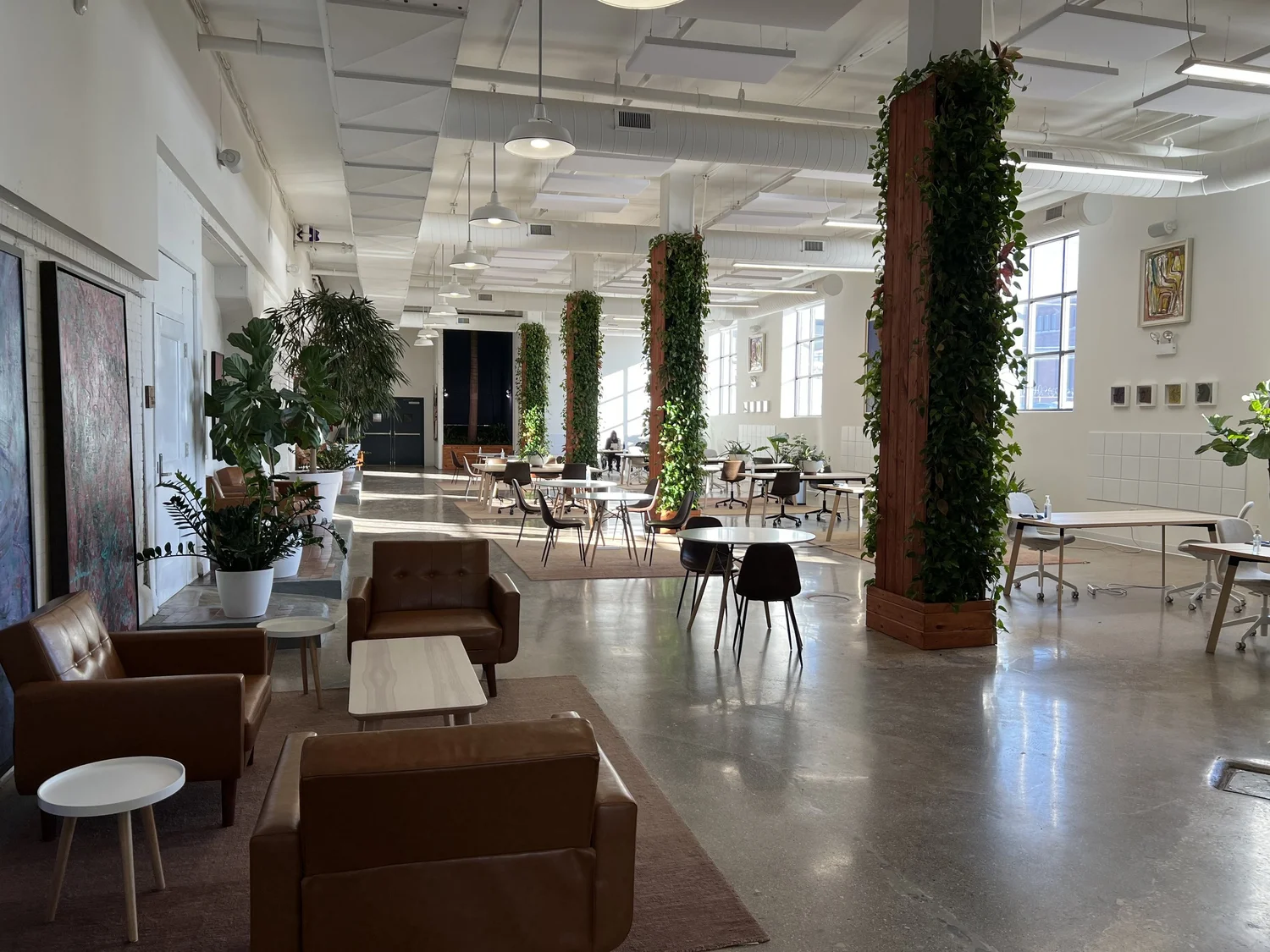 Hatch 41’s Award Winning Green Wall Project in Chicago