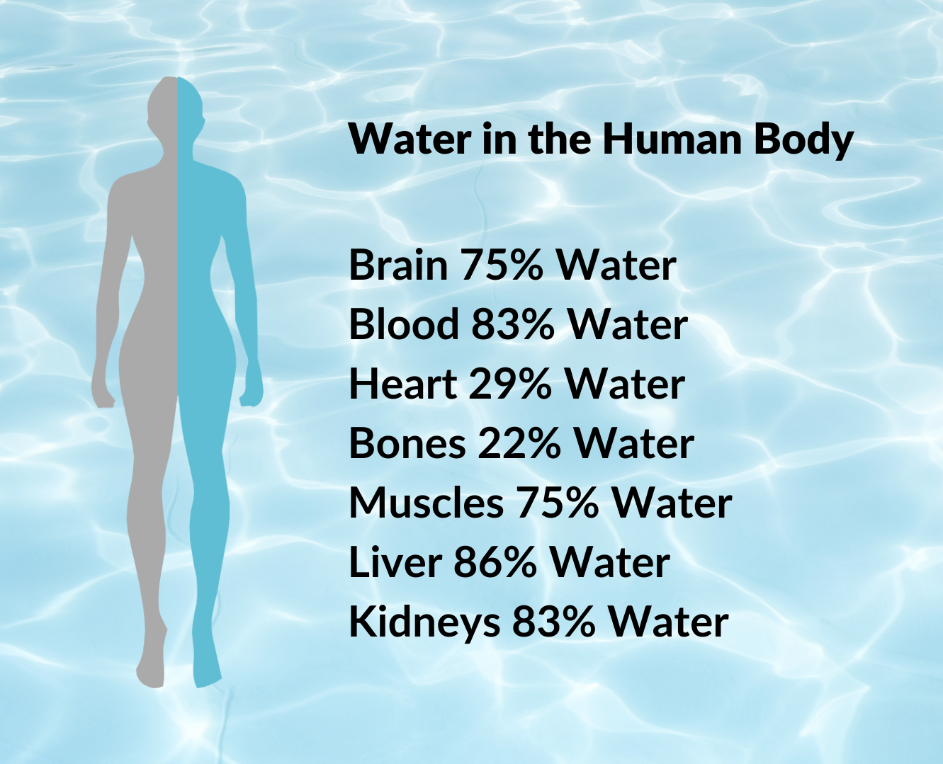 Towards Net Zero Water - For Architects, Landscape Architects and Engineers