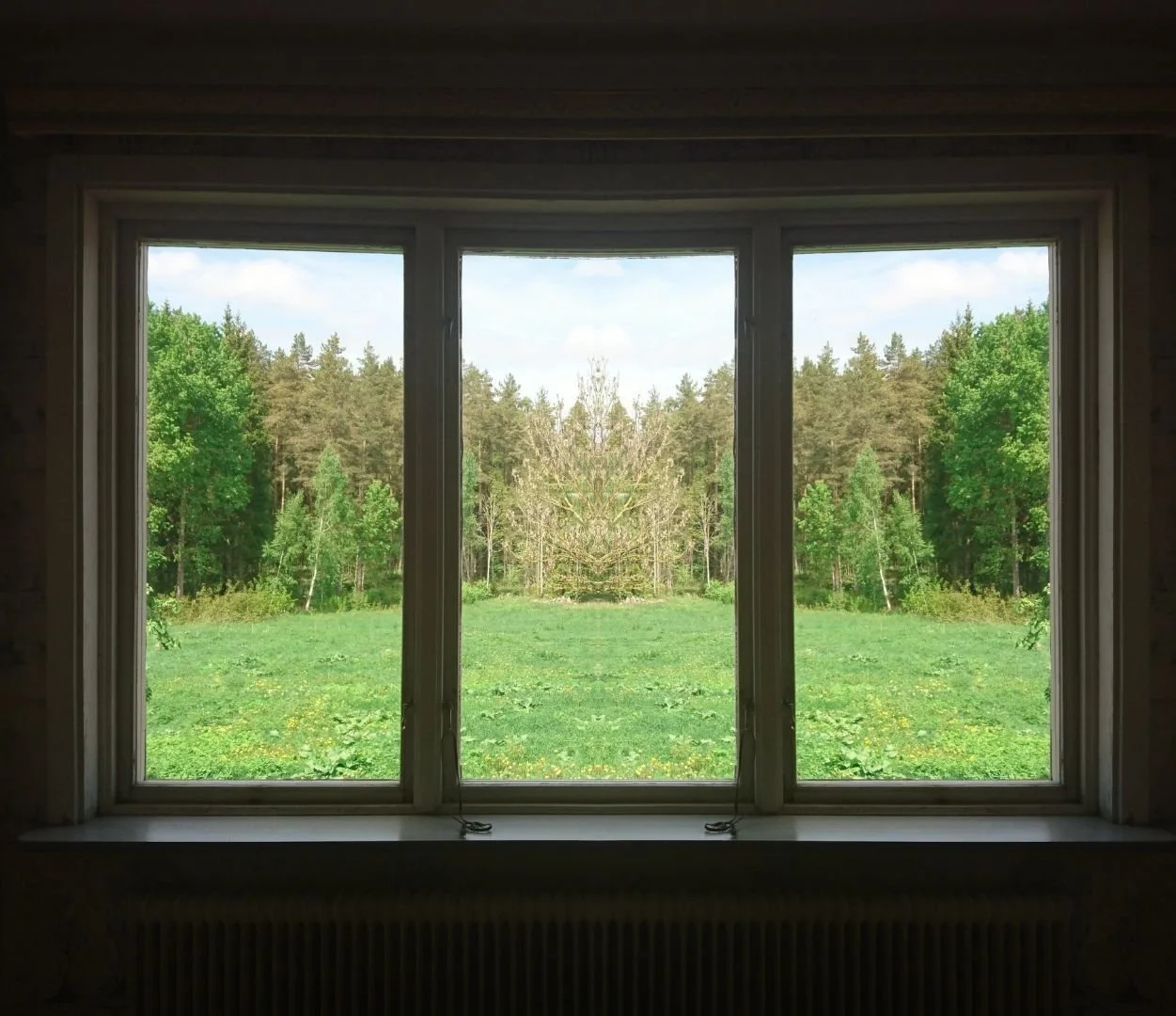 A Review of The Science of Biophilia, Biophilic Design and Human Health ...