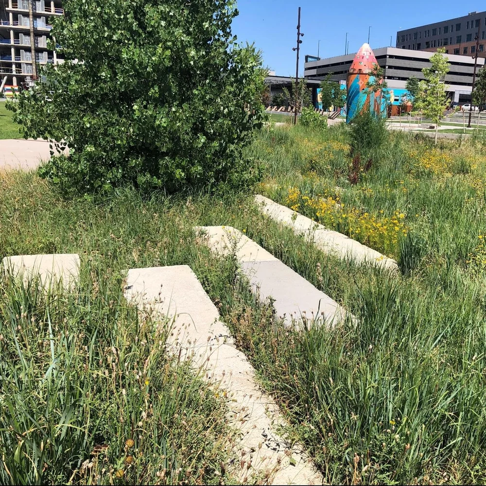 Rain Gardens as Living Stormwater Infrastructure: Planting the Rain ...