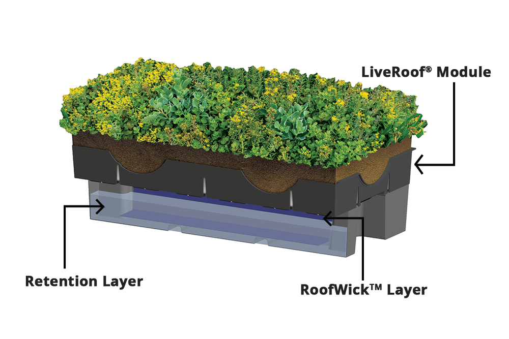 A New Blue-Green Roof Solution: LiveRoof RoofBlue® RETAIN™