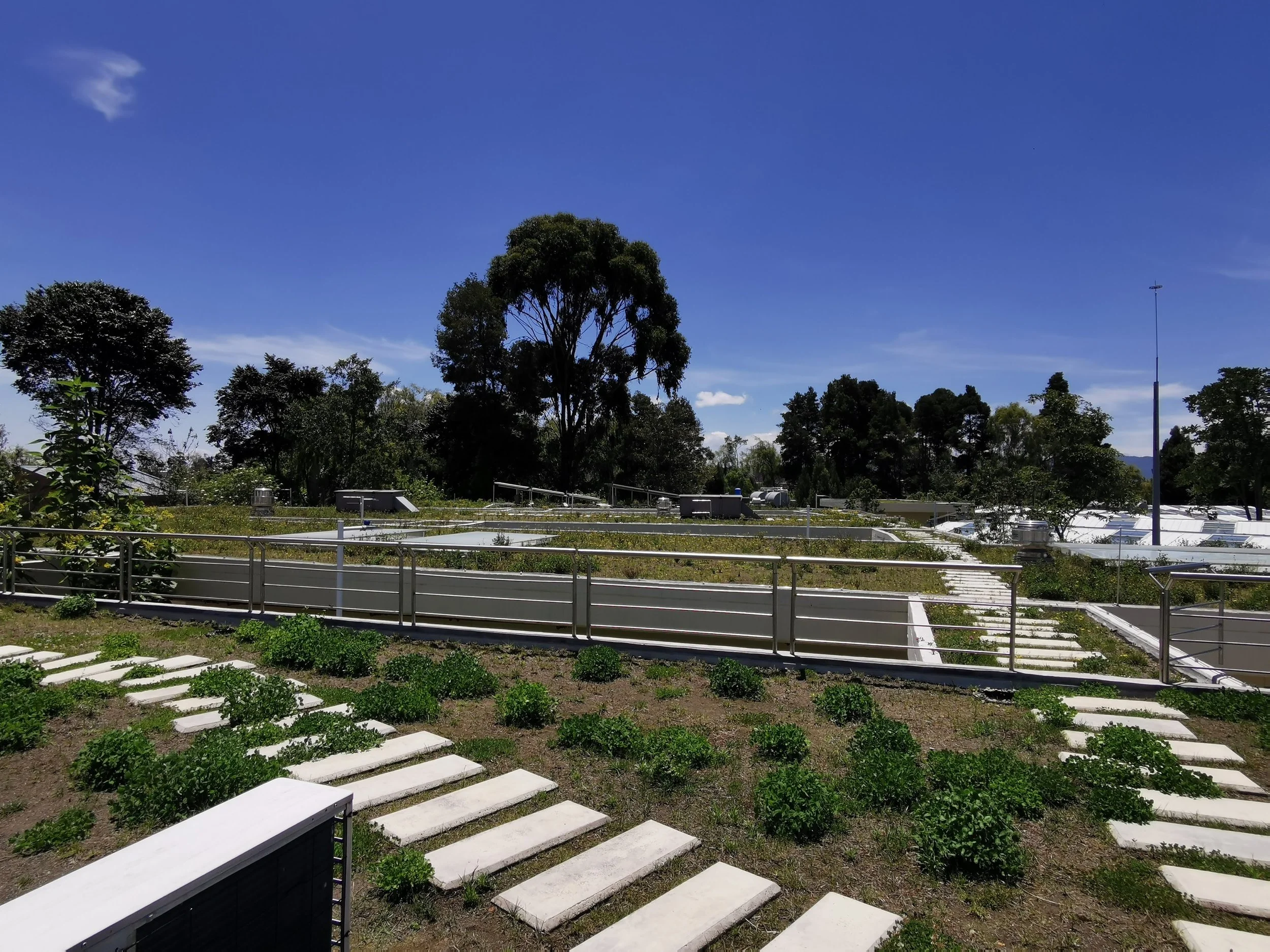 The Six Key Attributes of More Biodiverse Cities