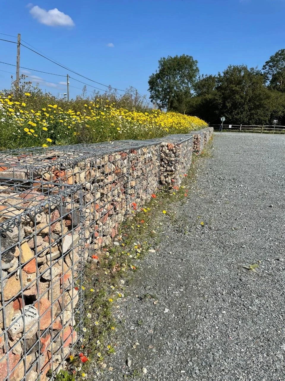 Chaos and Complexity – Pushing the Boundaries of Gabion Baskets