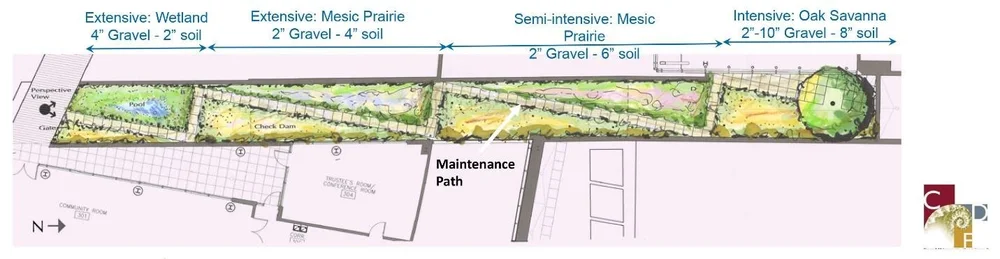 Re-innovating Green Roofs for Biodiversity: Seven Steps | Bruce Dvorak