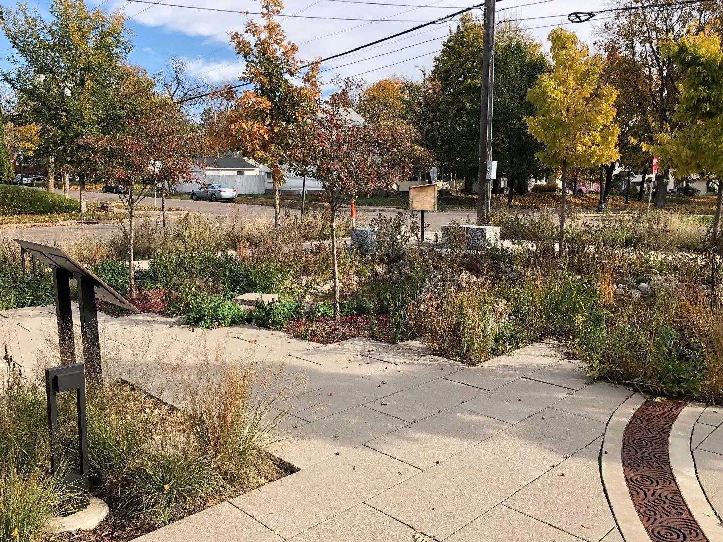 Rain Gardens as Living Stormwater Infrastructure: Planting the Rain ...