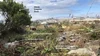 Re-innovating Green Roofs for Biodiversity: Seven Steps | Bruce Dvorak