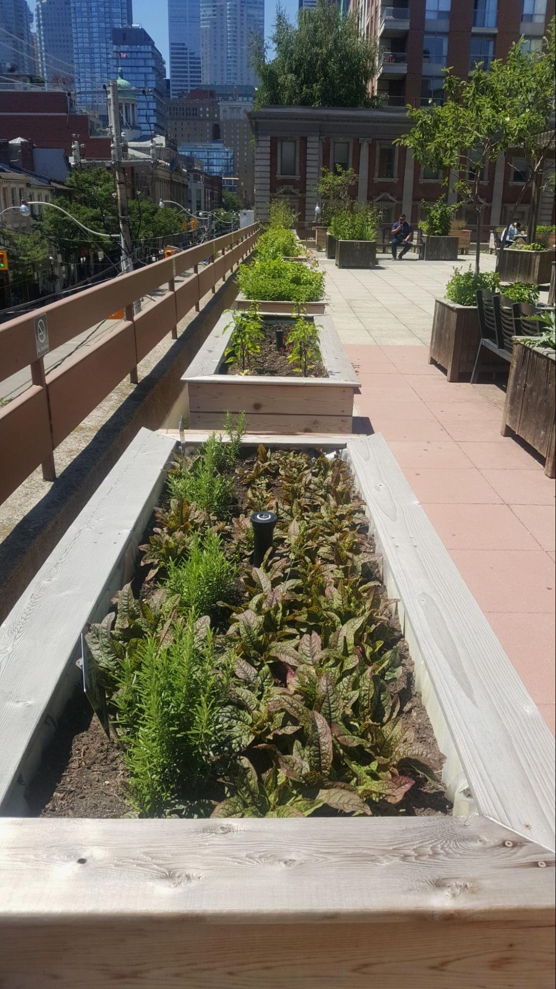 Eight Reasons to Include Food Production In Your Next Building Project ...