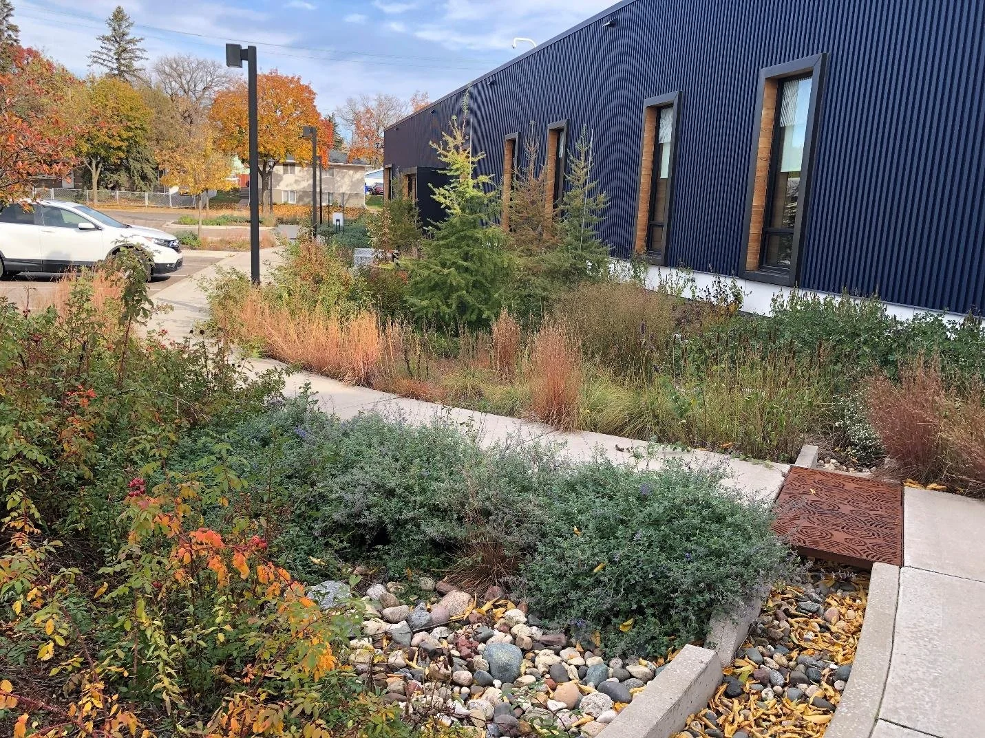 Rain Gardens as Living Stormwater Infrastructure: Planting the Rain ...
