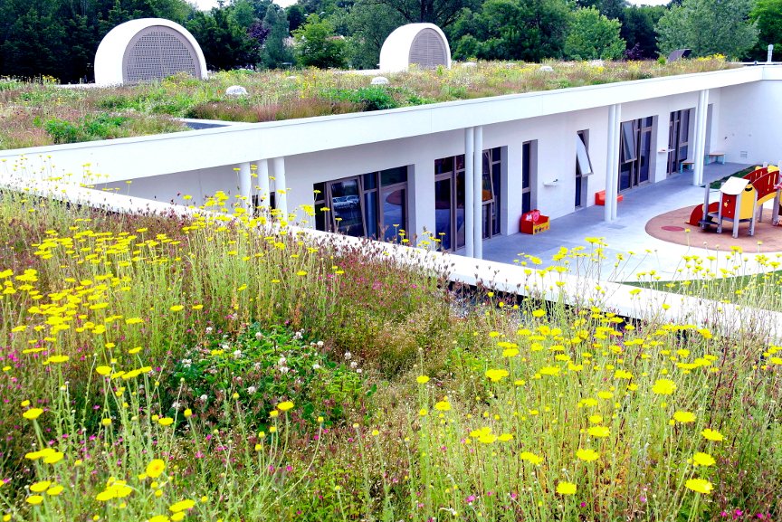 In France, a New Law Supports Green Roofs on Buildings