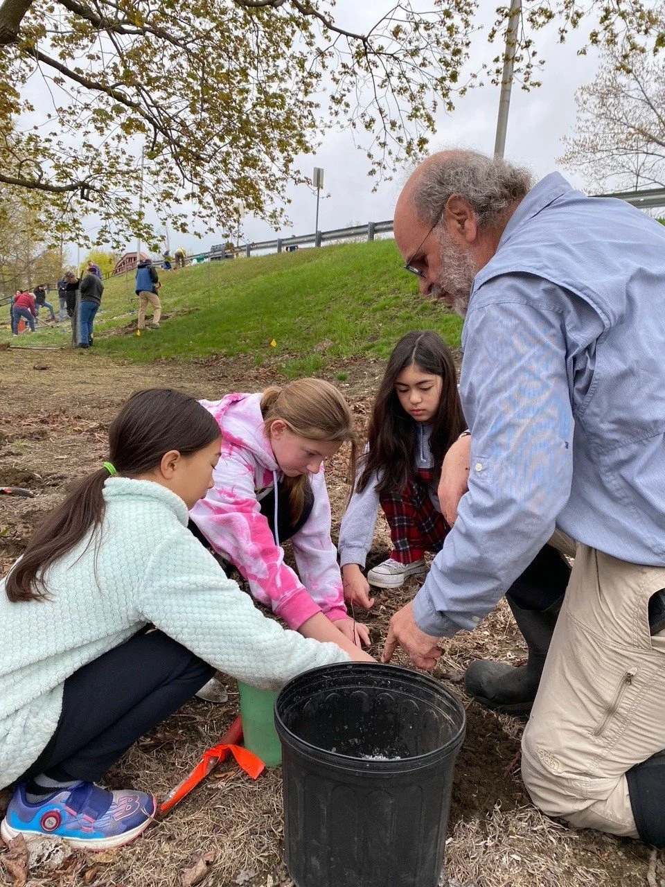 Community Driven Biodiversity: The Ayer Devens Main Streets Regional ...