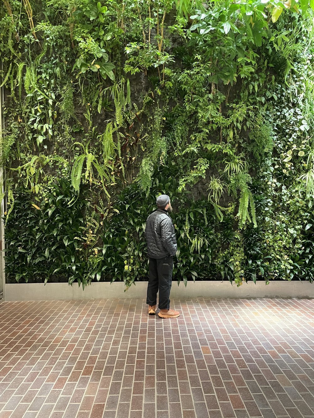 Five Reasons to Incorporate Biodiversity into Your Green Infrastructure ...