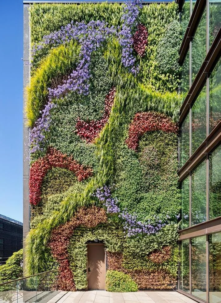 Designing and Maintaining Living Walls To Boost Biodiversity | Lily Turner