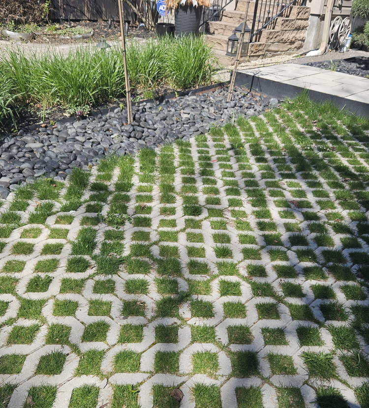 How the Movement Towards Sponge Cities Can Help Soak up Extreme ...