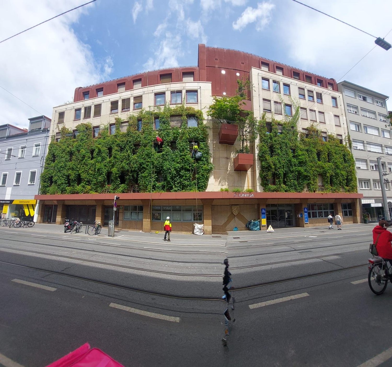Award Winning Vertical Greenery in Graz, Austria | Vera Enzi