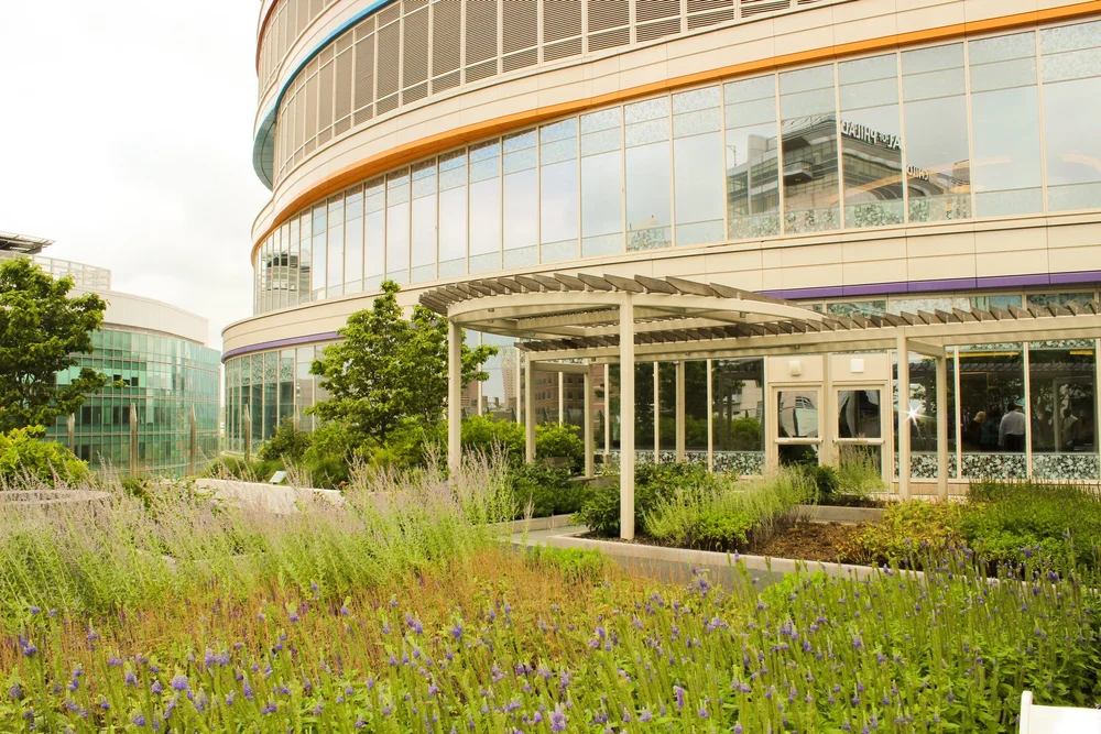 On the Roof With… Philadelphia Water Department’s (PWD) Commissioner ...