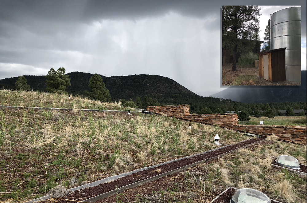 Water and Plants for Wet, Mesic, or Xeric Green Roofs | Bruce Dvorak