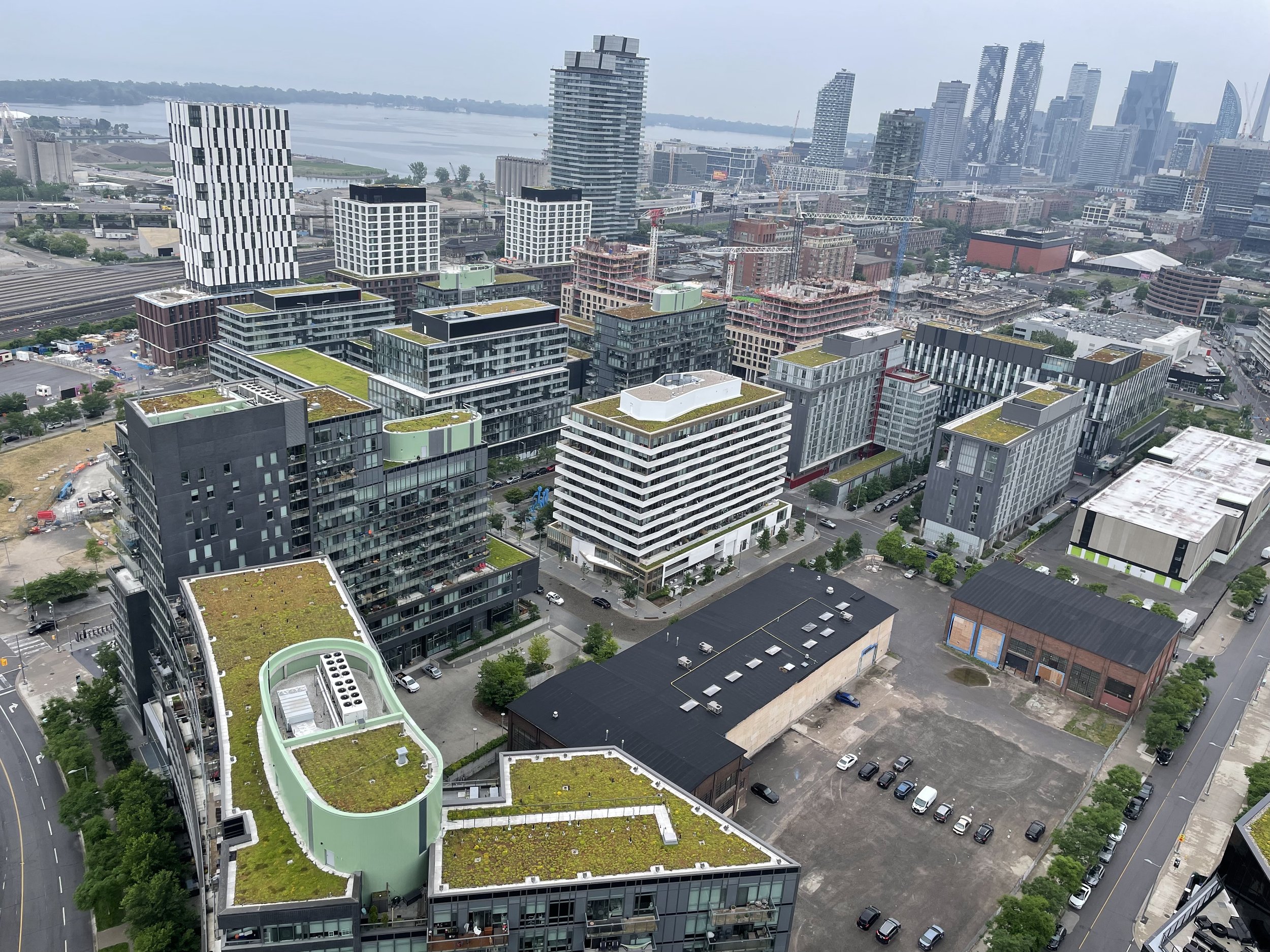 Grey to Green: Unveiling the Success of Regional Conferences in Toronto ...