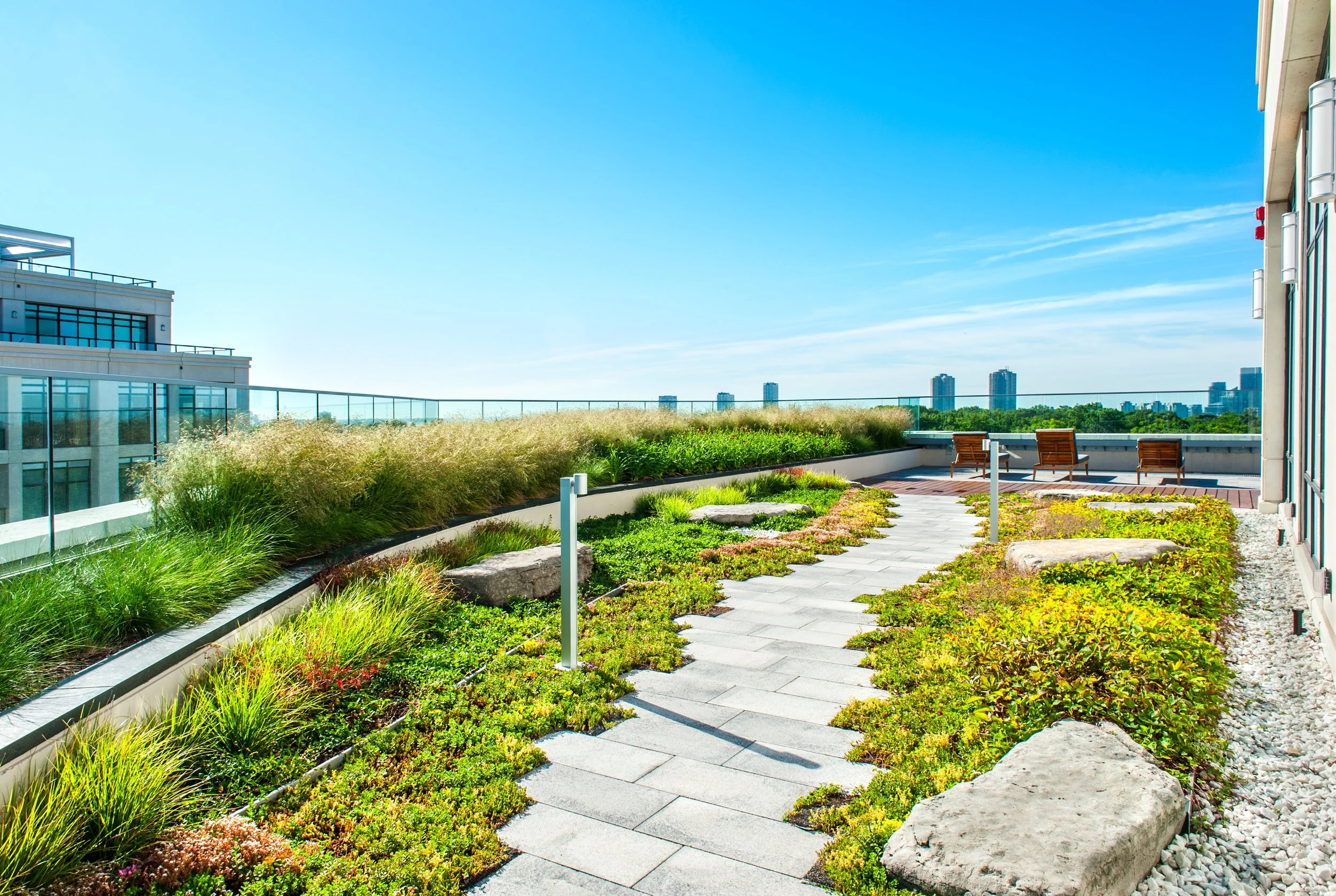 Sky-High Returns: The Economic and Social Case for Green Roof Amenity ...