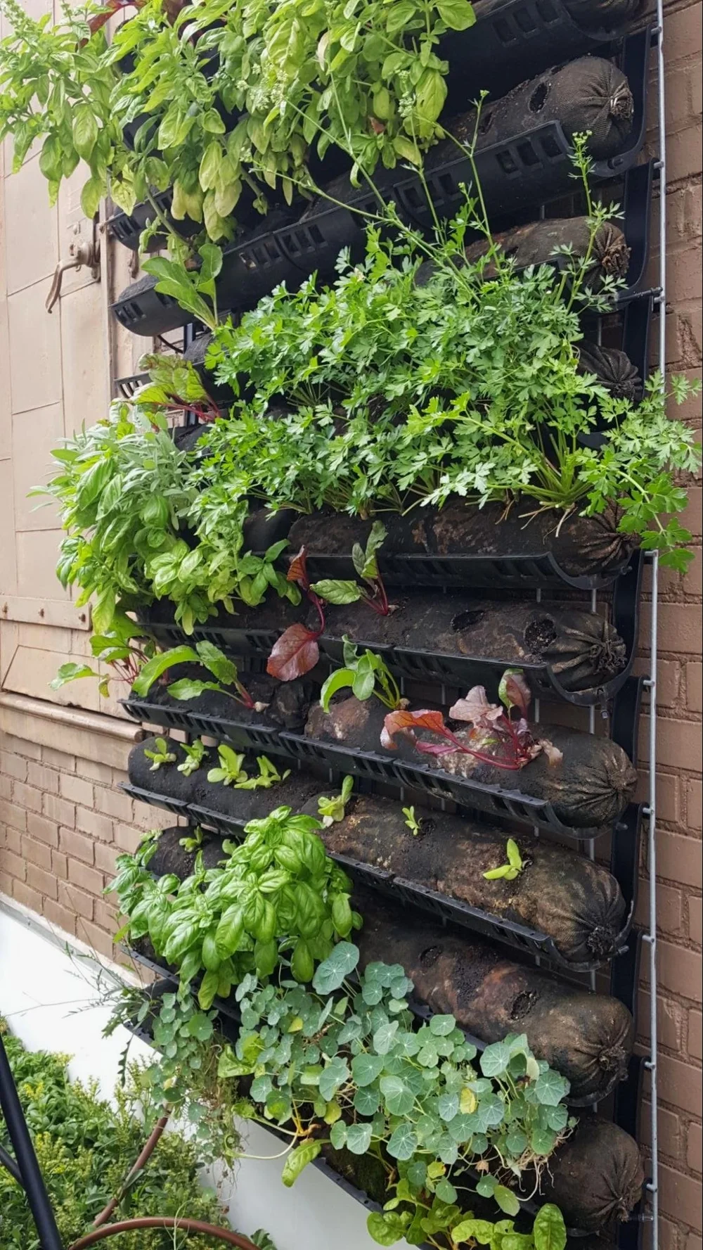 Eight Reasons to Include Food Production In Your Next Building Project ...