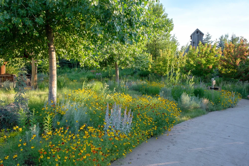 Designing Green Roofs for Biodiversity | Michael Guidi