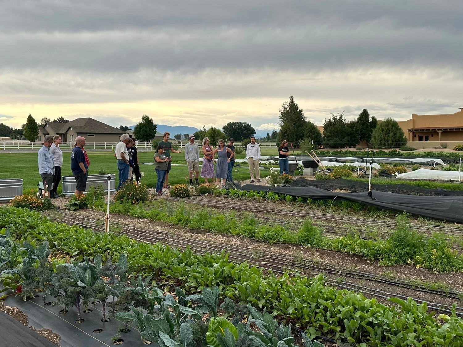 Valley Food Partnership
