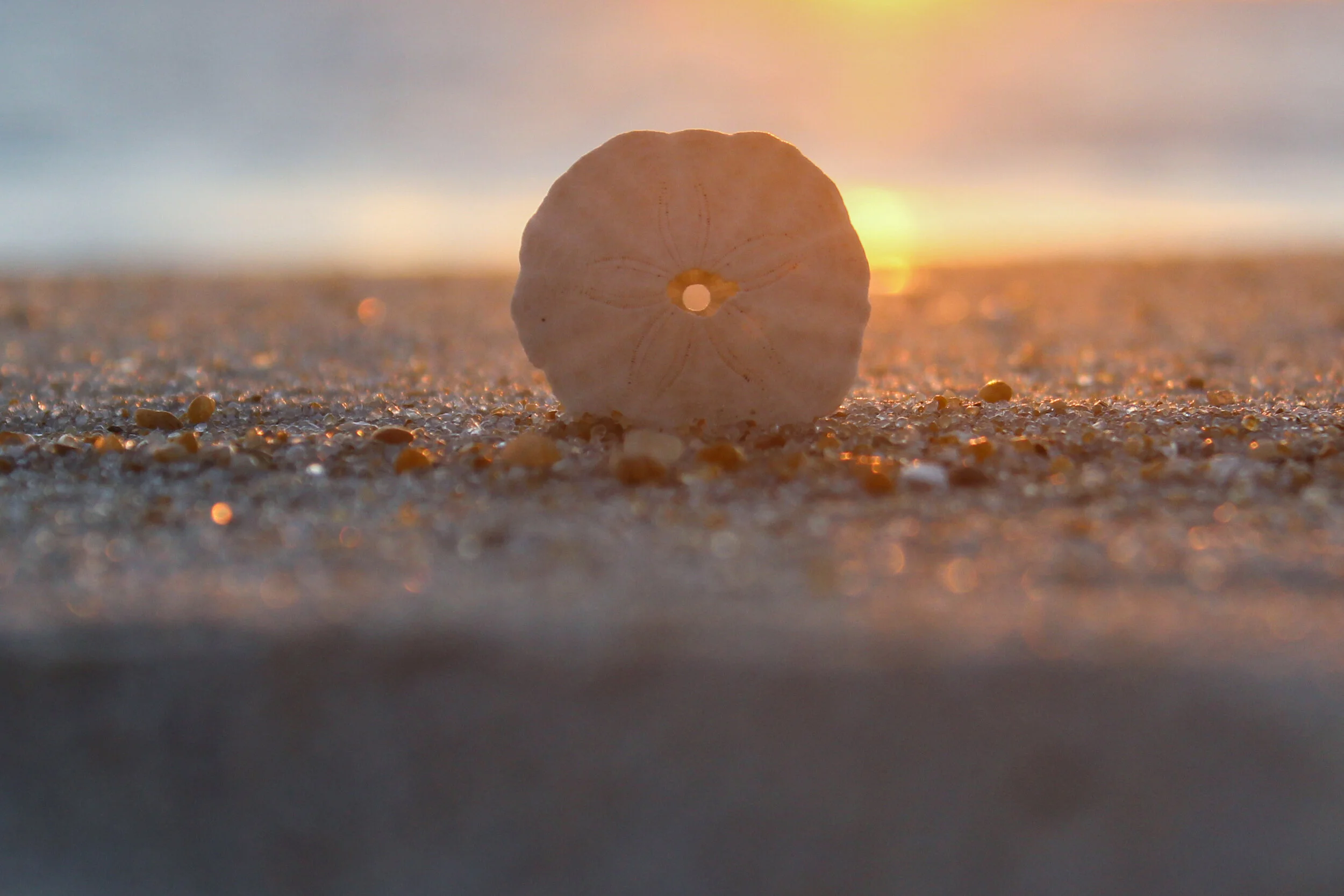 Tyler Smiley Photography