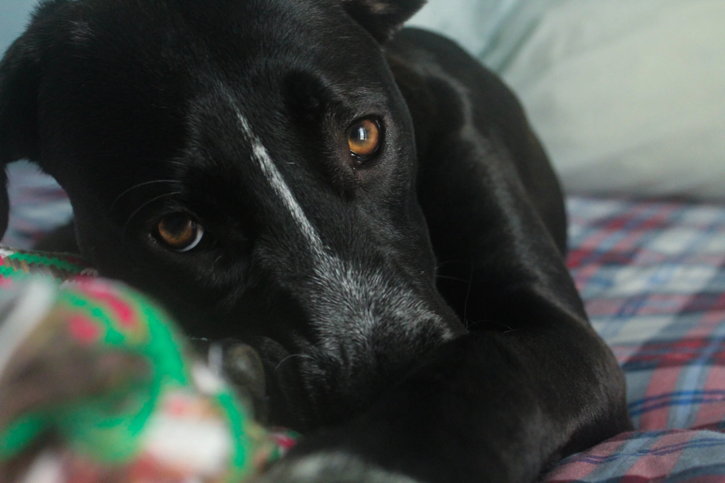 Photography Portfolios — Tyler Smiley Photography