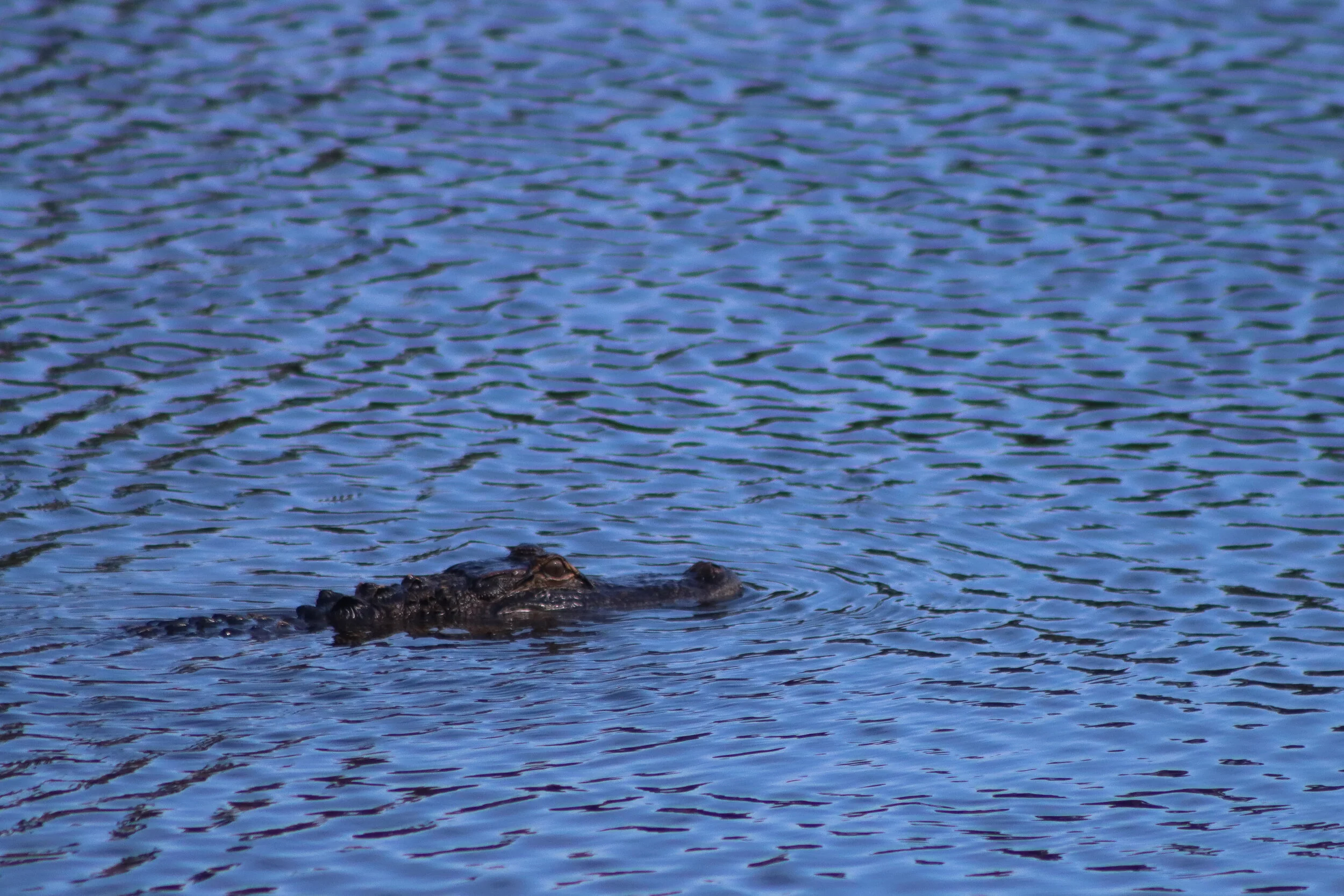 Photography Portfolios — Tyler Smiley Photography