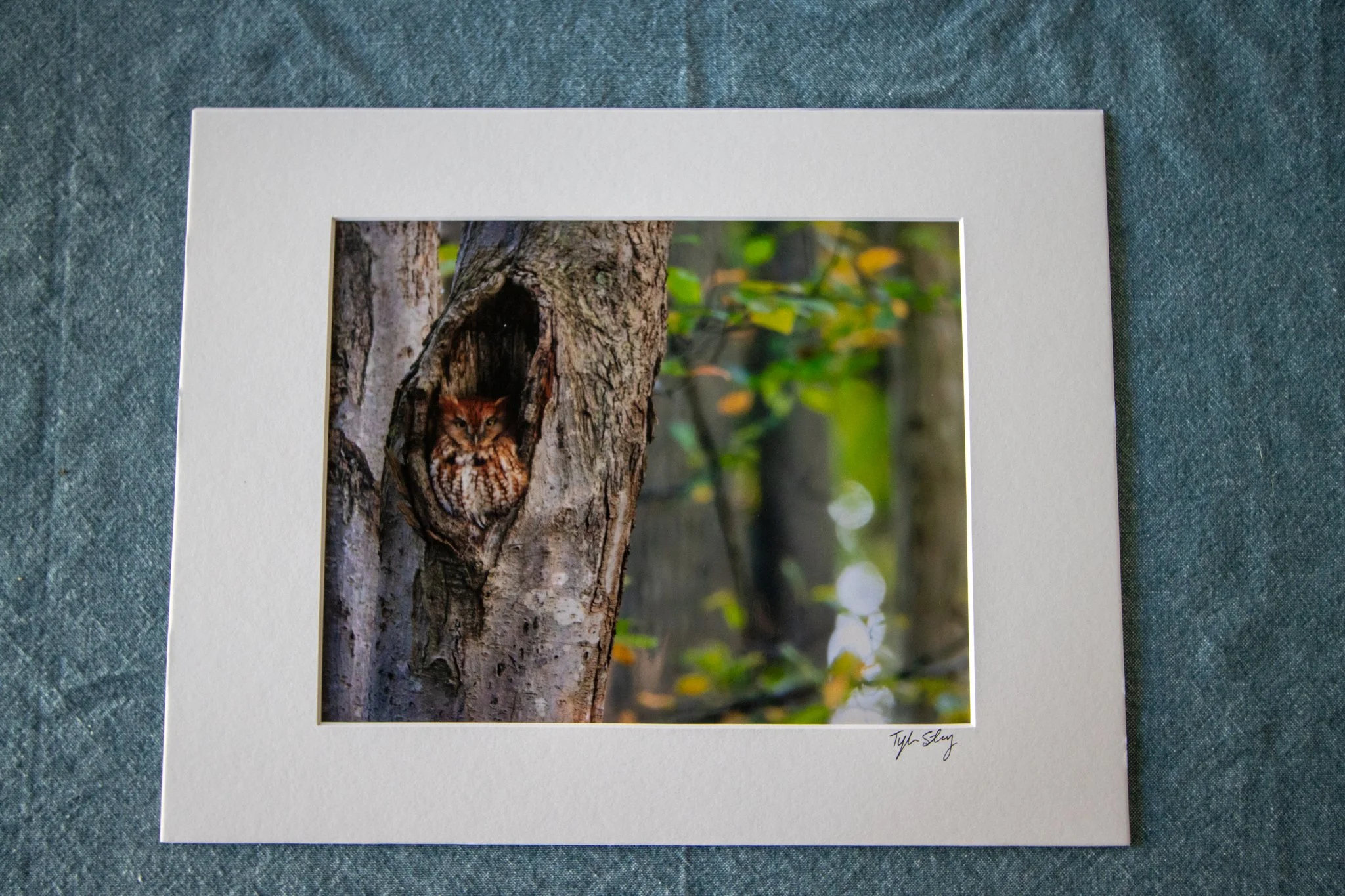 Shop — Tyler Smiley Photography