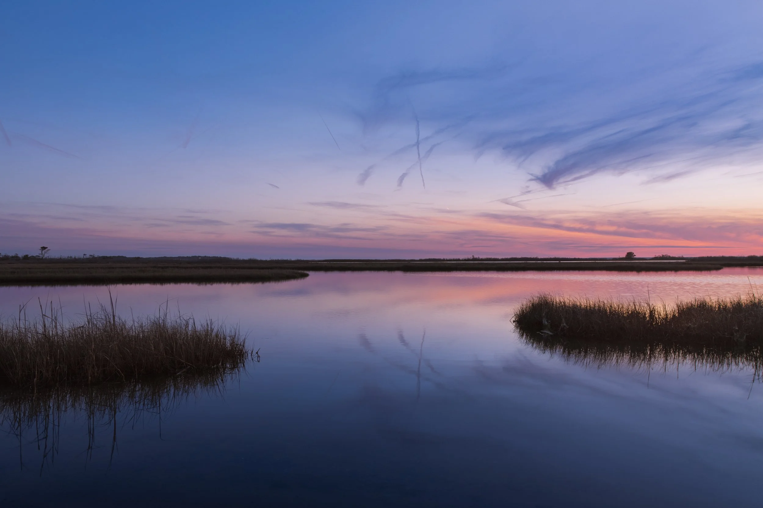 Tyler Smiley Photography | Wildlife and Landscapes