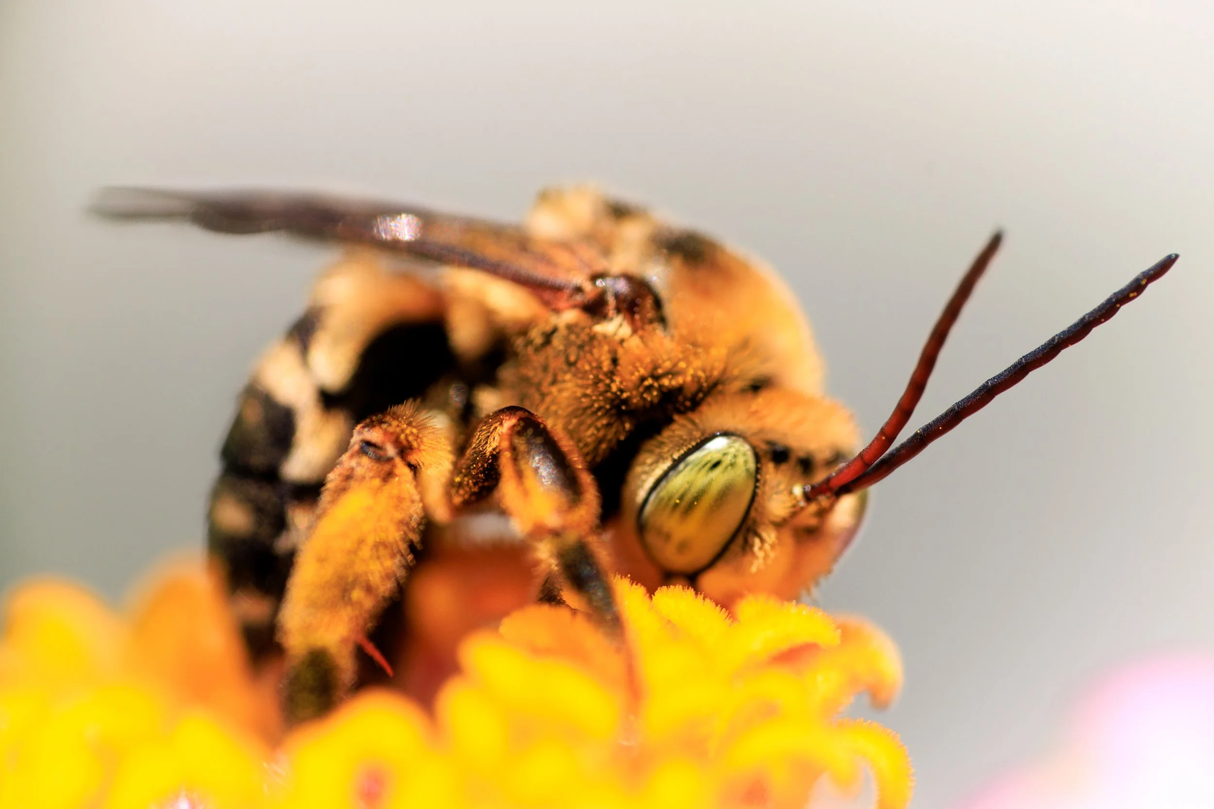 Nature and Landscapes — Tyler Smiley Photography