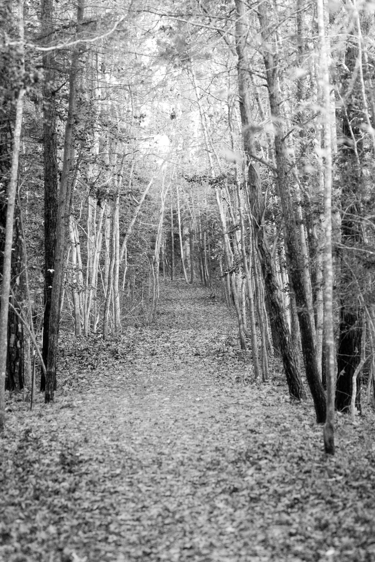 Exploring the Thompson Island Trail — Tyler Smiley Photography