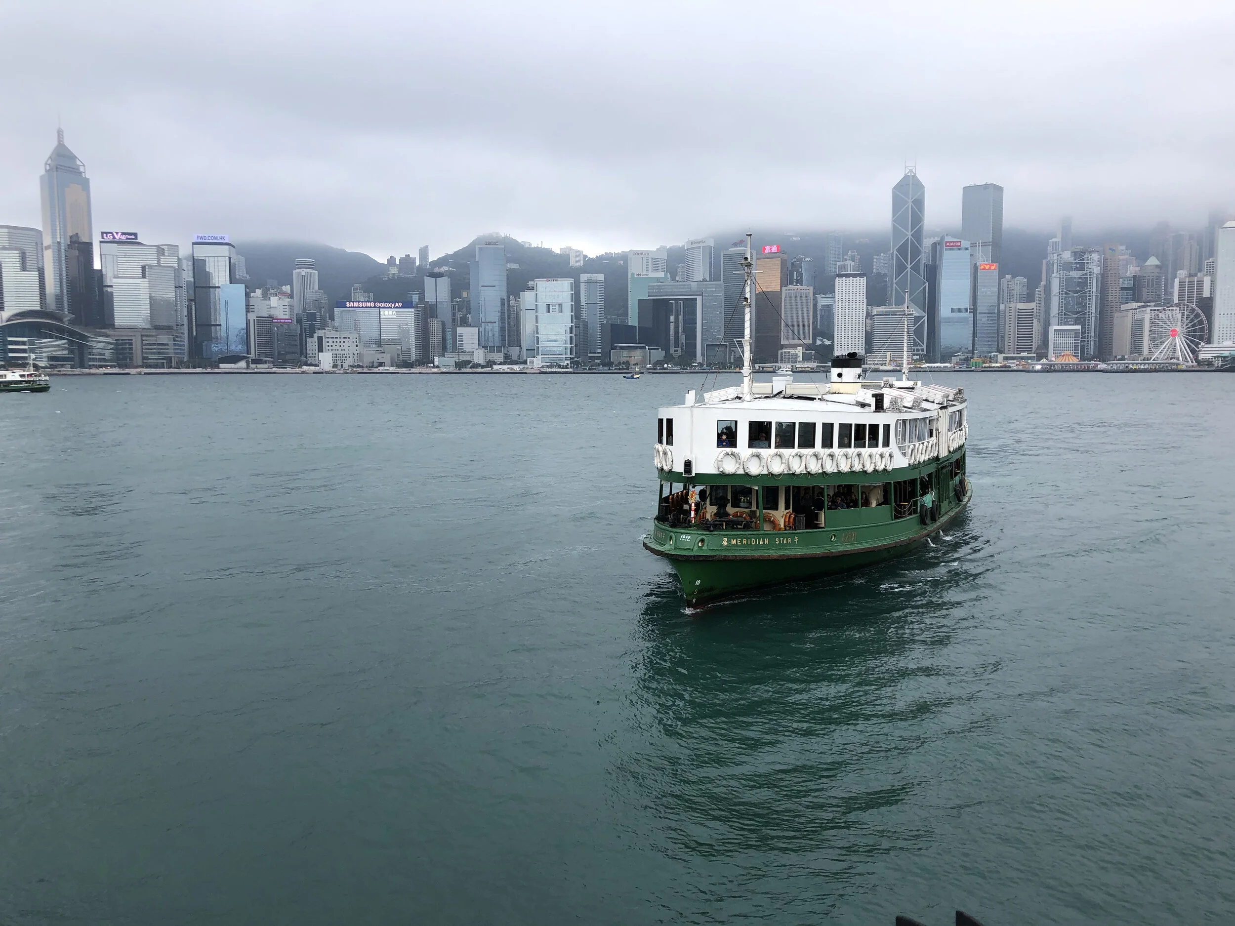 Science Videos — Mina R. Bionta